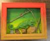 Blue Tadpole Studio - Summerclass
